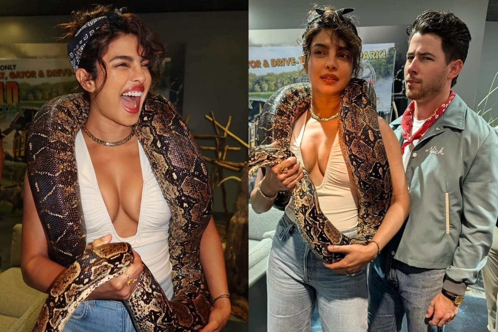 Priyanka Chopra’s Viral Python Photos and Family Adventures